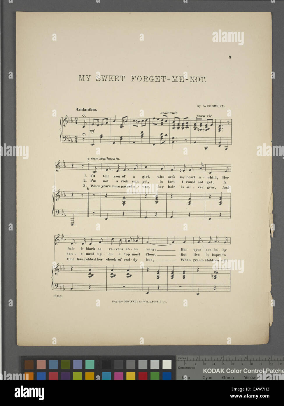 This image reflects the song 'My Sweet Forget-Me-Not,' a popular tune ...