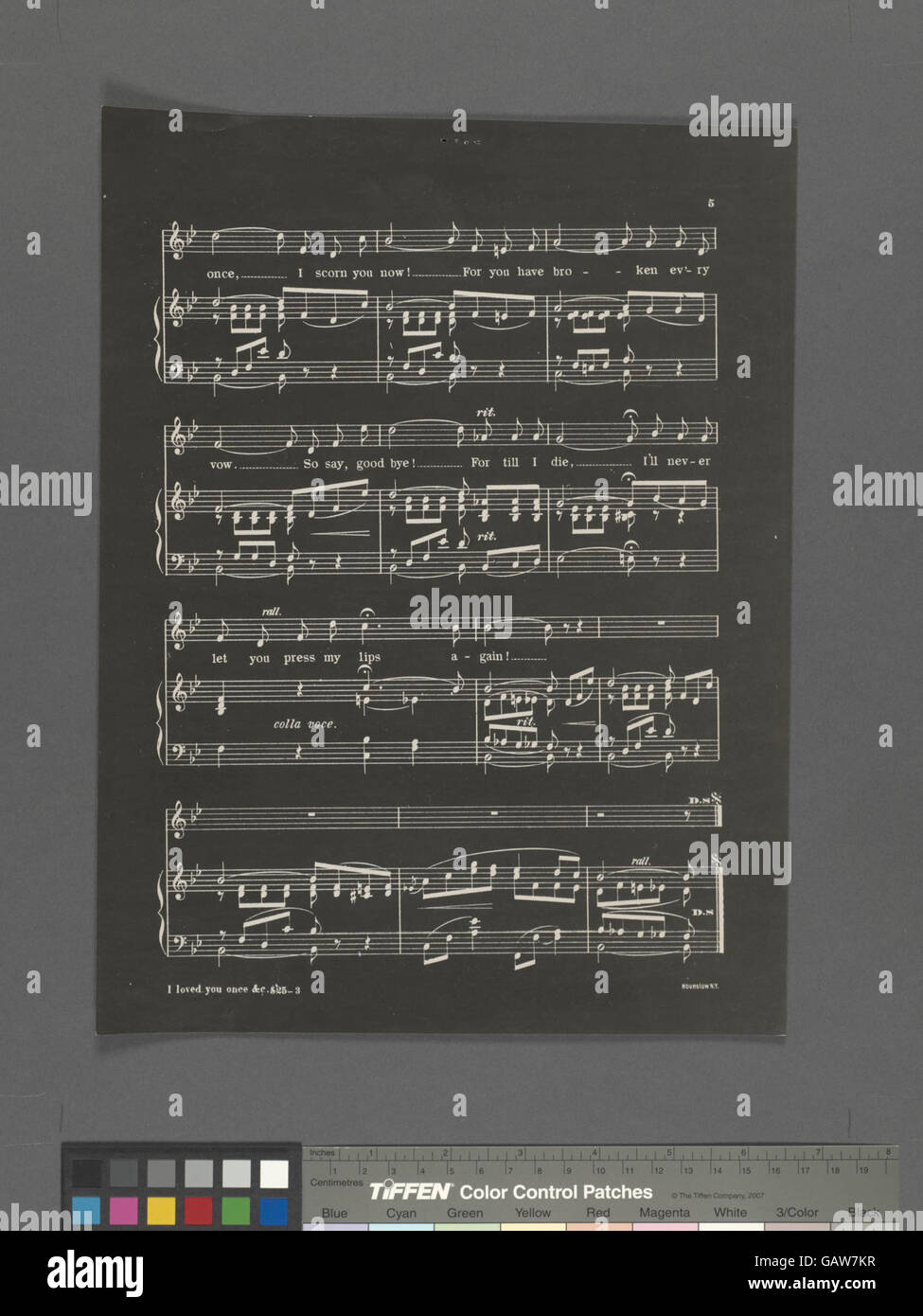 This evocative photograph captures a moment of intense emotion ...