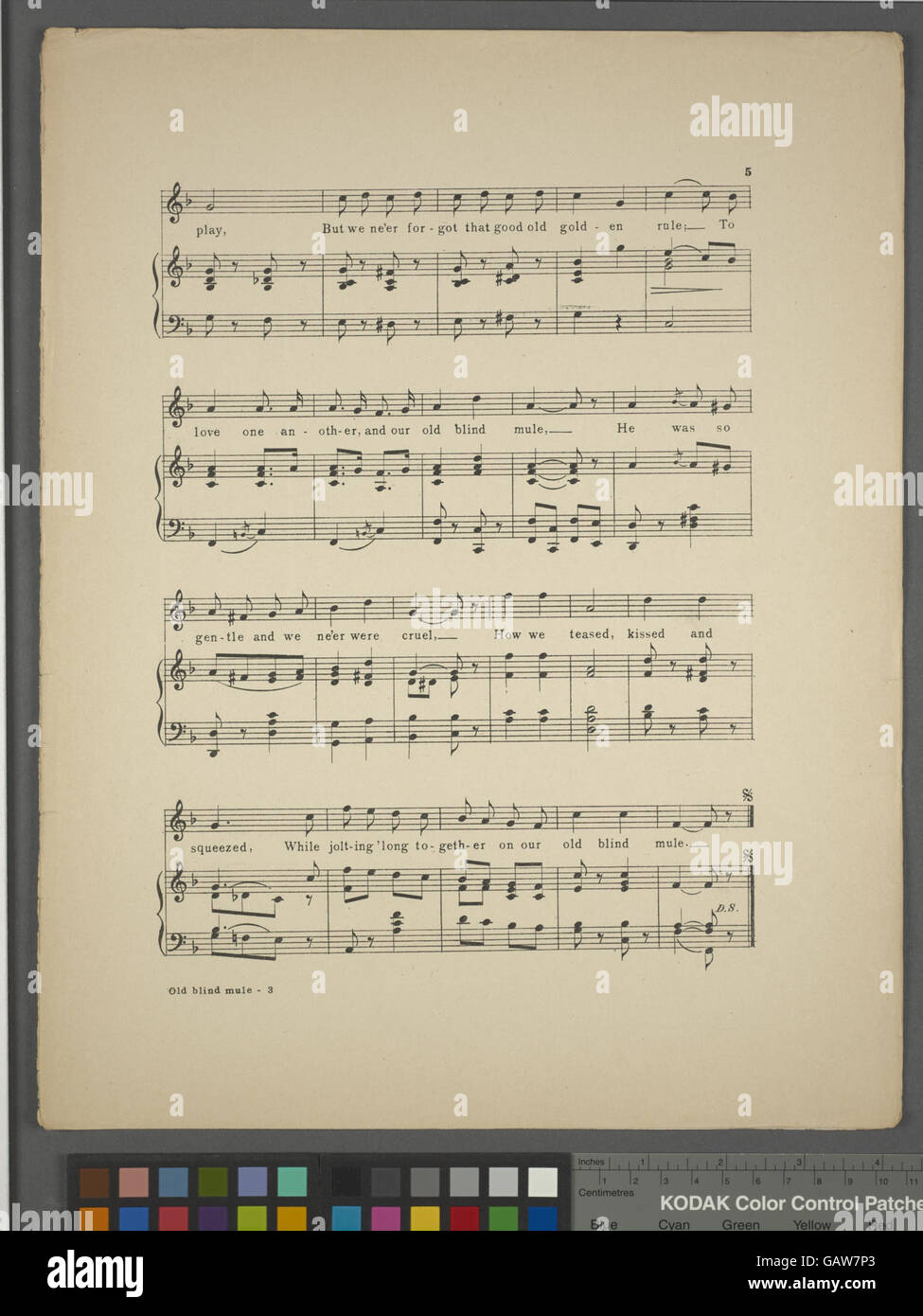 Reference on farm animals hi-res stock photography and images - Alamy