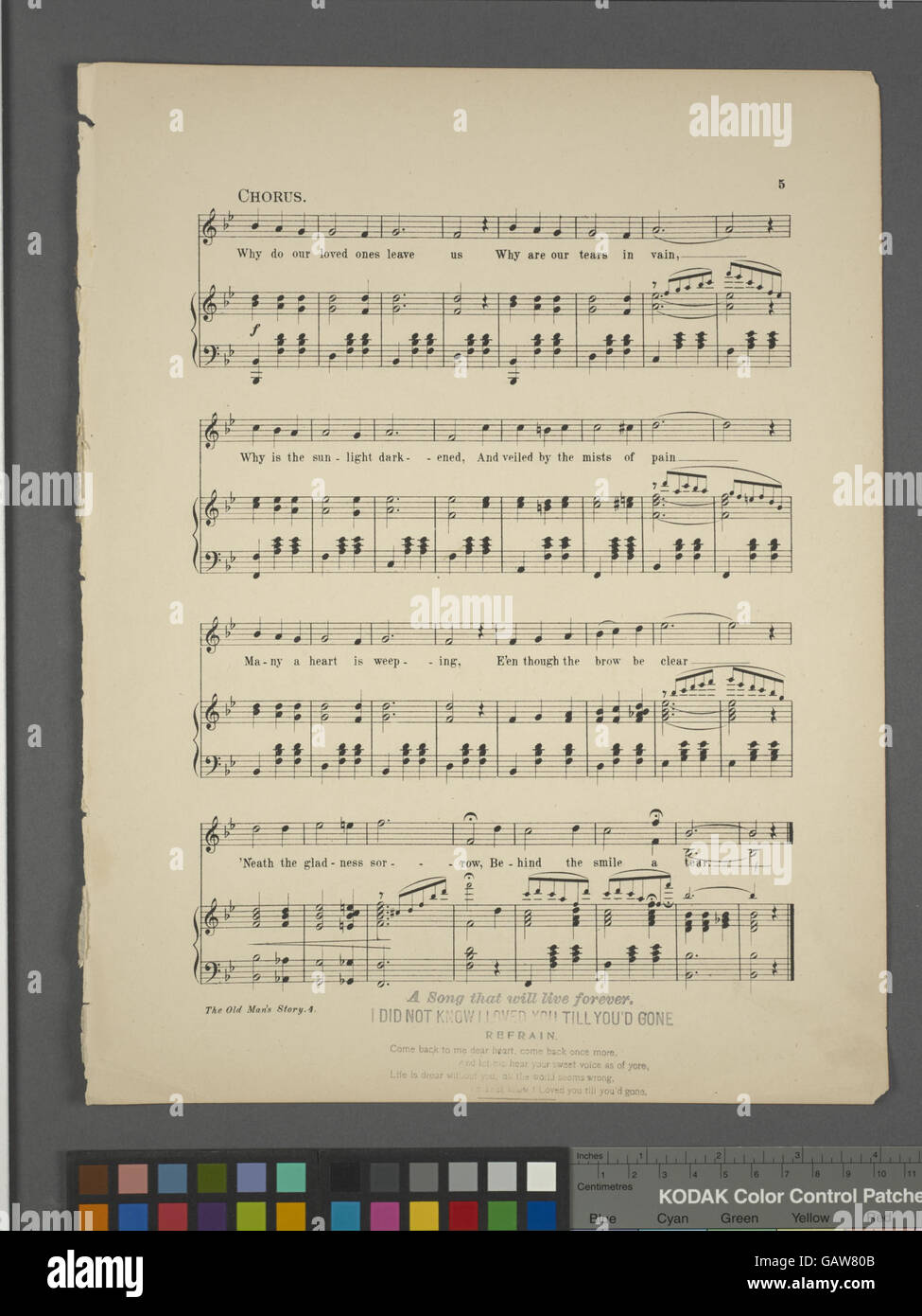 'The Stranger's Story' suggests a narrative from the perspective of an ...