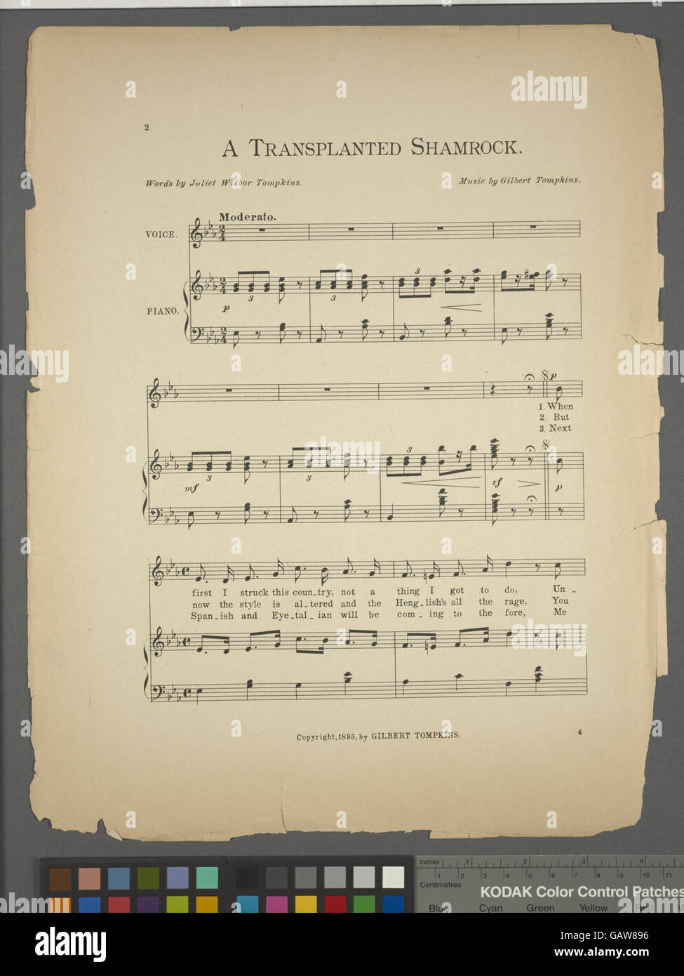 Photograph of a woman with red hair, symbolizing the 'transplanted ...