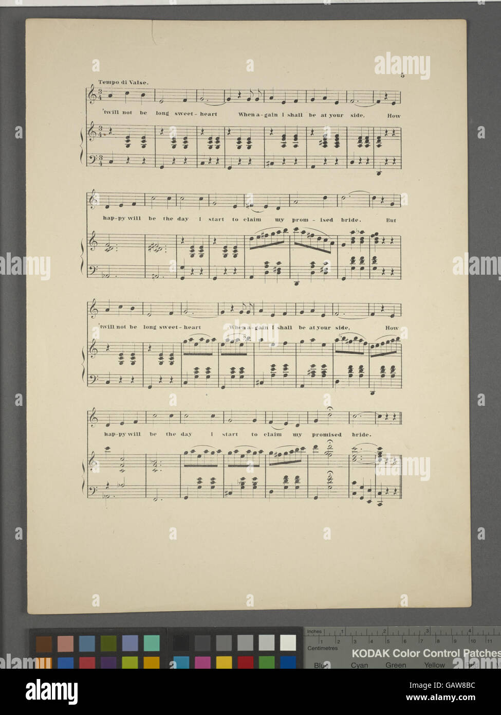 A tender photograph capturing a couple in a heartfelt embrace ...