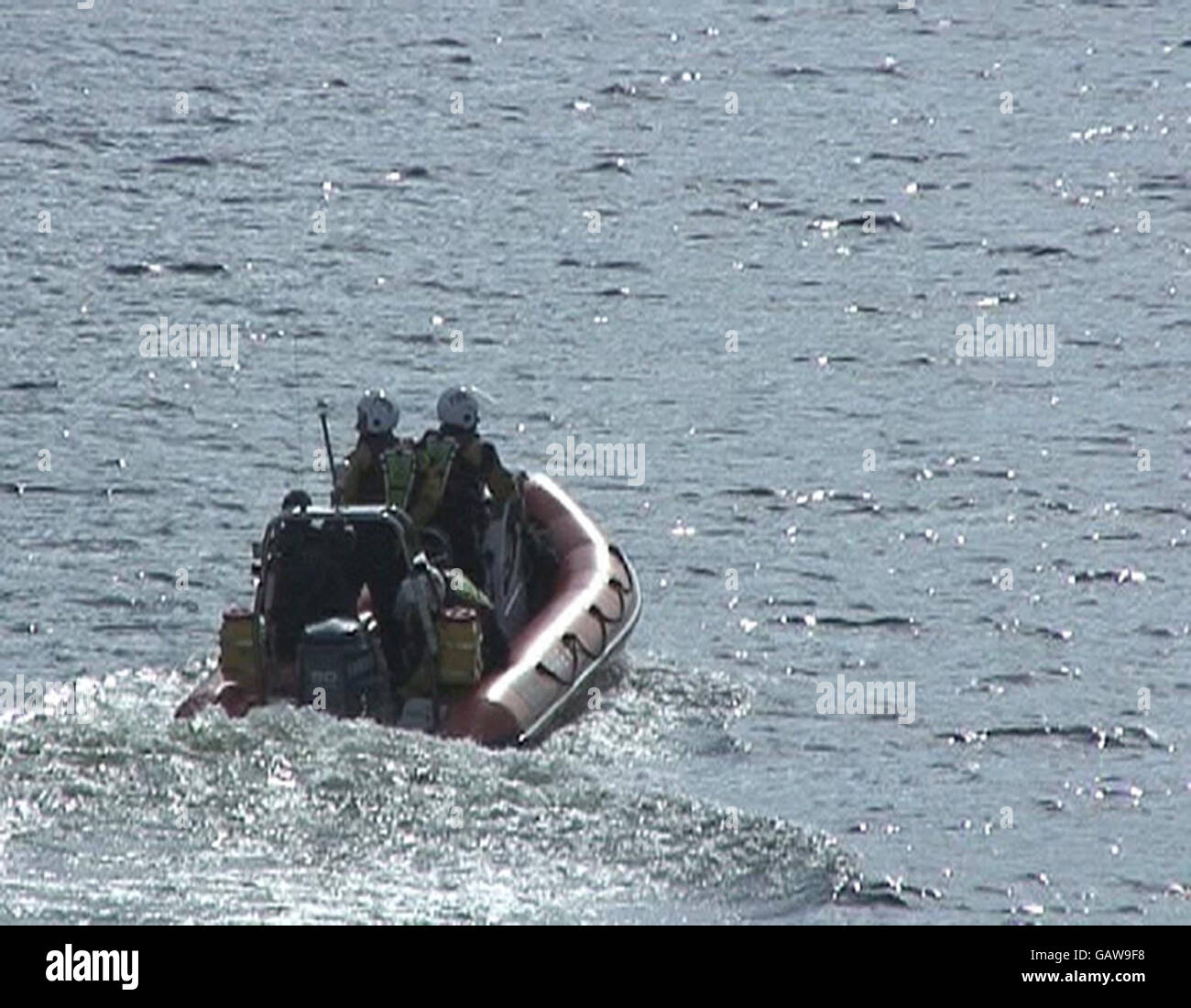 A rescue craft tries to coax a wounded dolphin back into the sea from ...