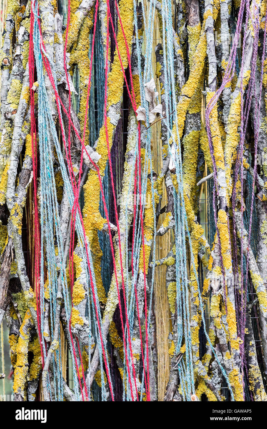 abstract artistic background with dry twigs and colorful threads Stock ...