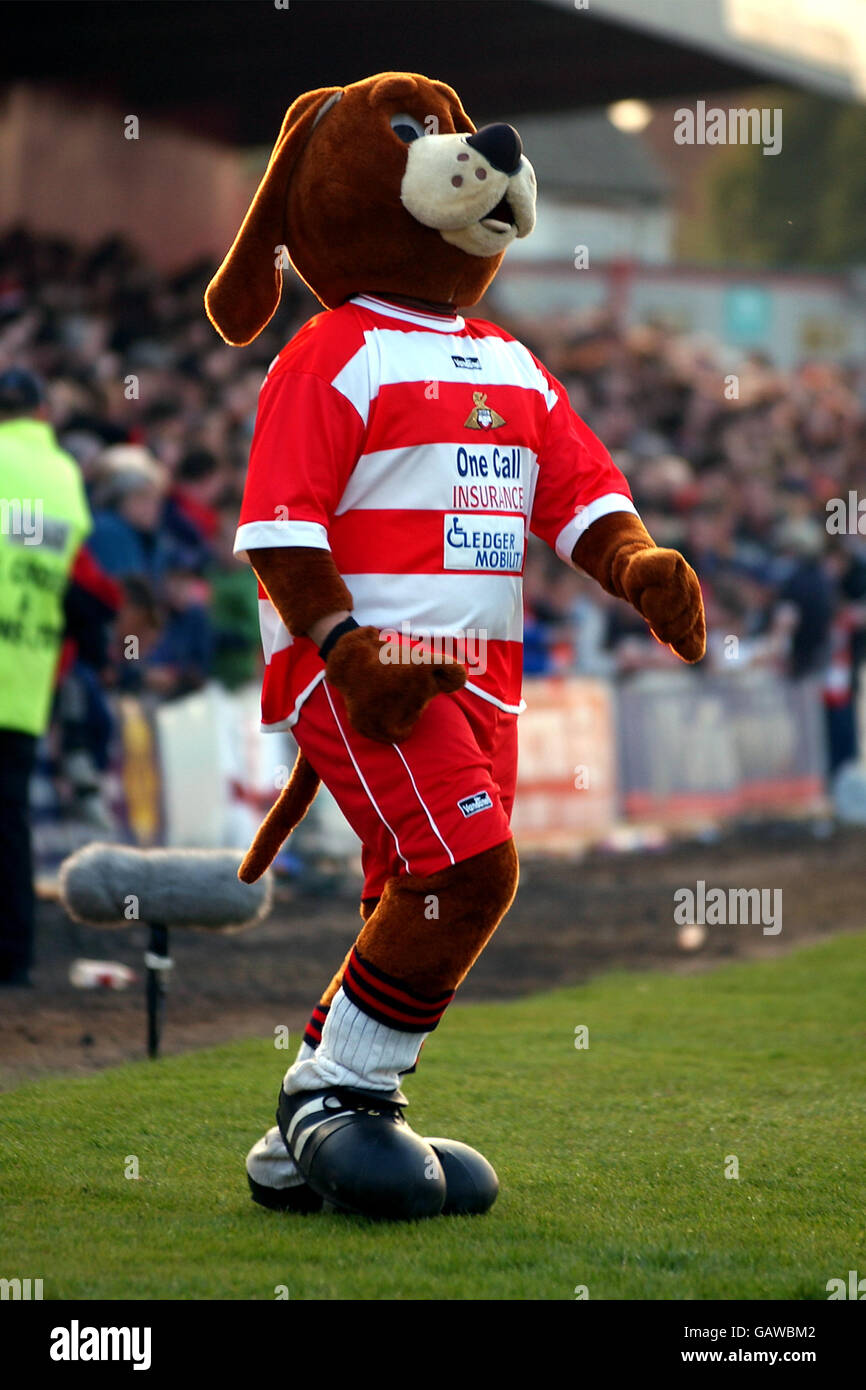 Donny dog hi-res stock photography and images - Alamy