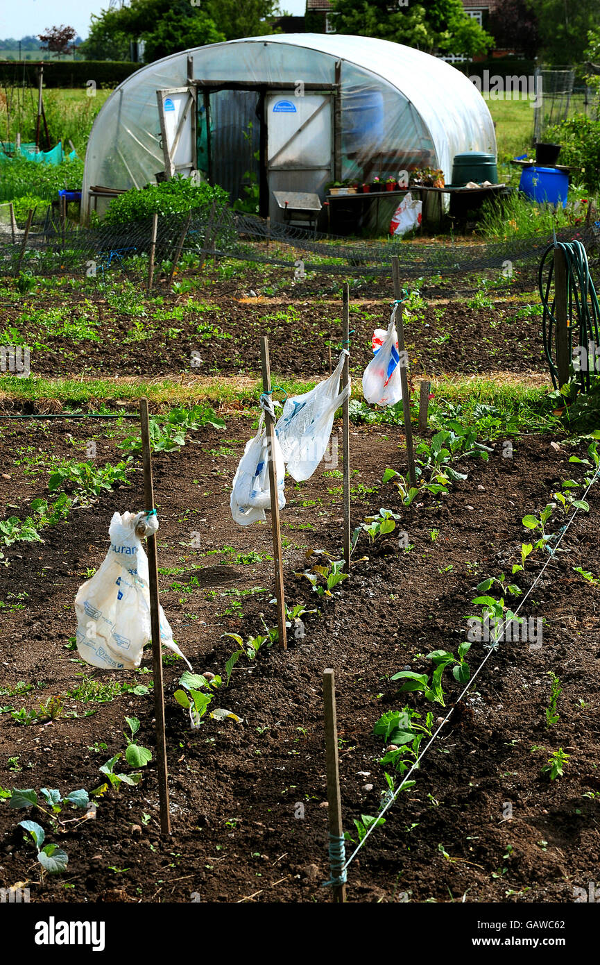Allotment Feature. A general view of an allotment at Gotham ...