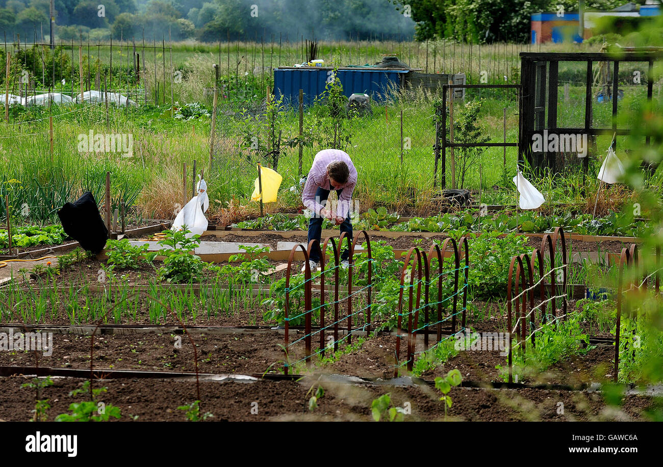 A general view of an allotment at gotham hi-res stock photography and ...