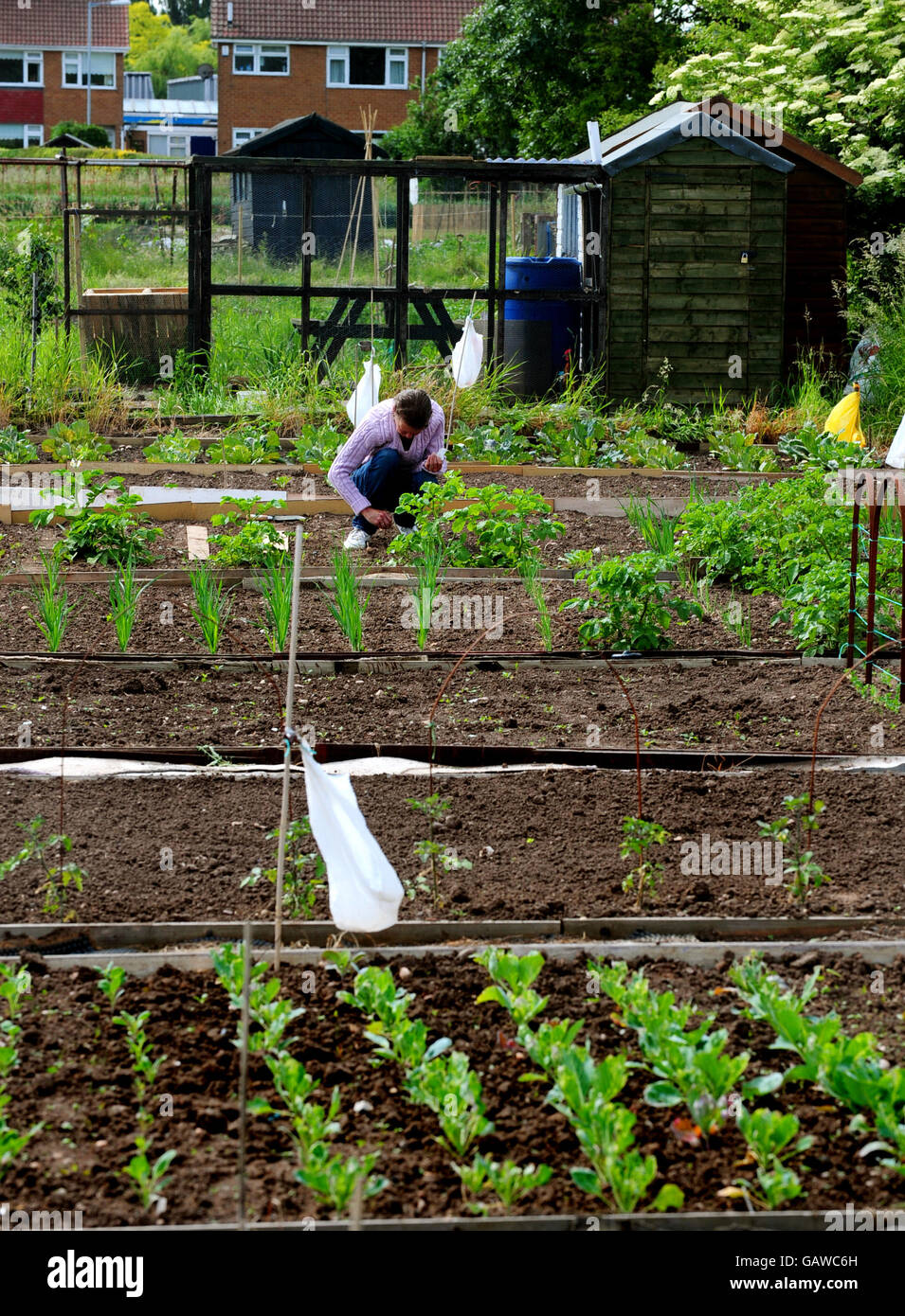 Allotment feature hi-res stock photography and images - Alamy