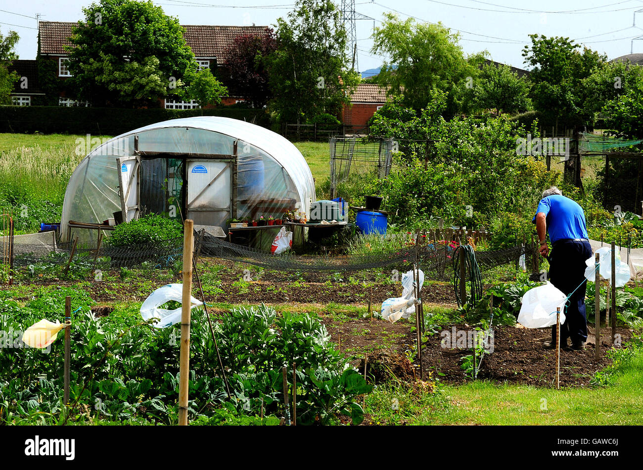 A general view of an allotment at Gotham, Nottinghamshire Stock Photo ...