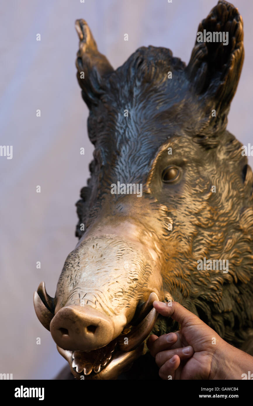 Front view of famous pig's fountain in Florence Stock Photo - Alamy