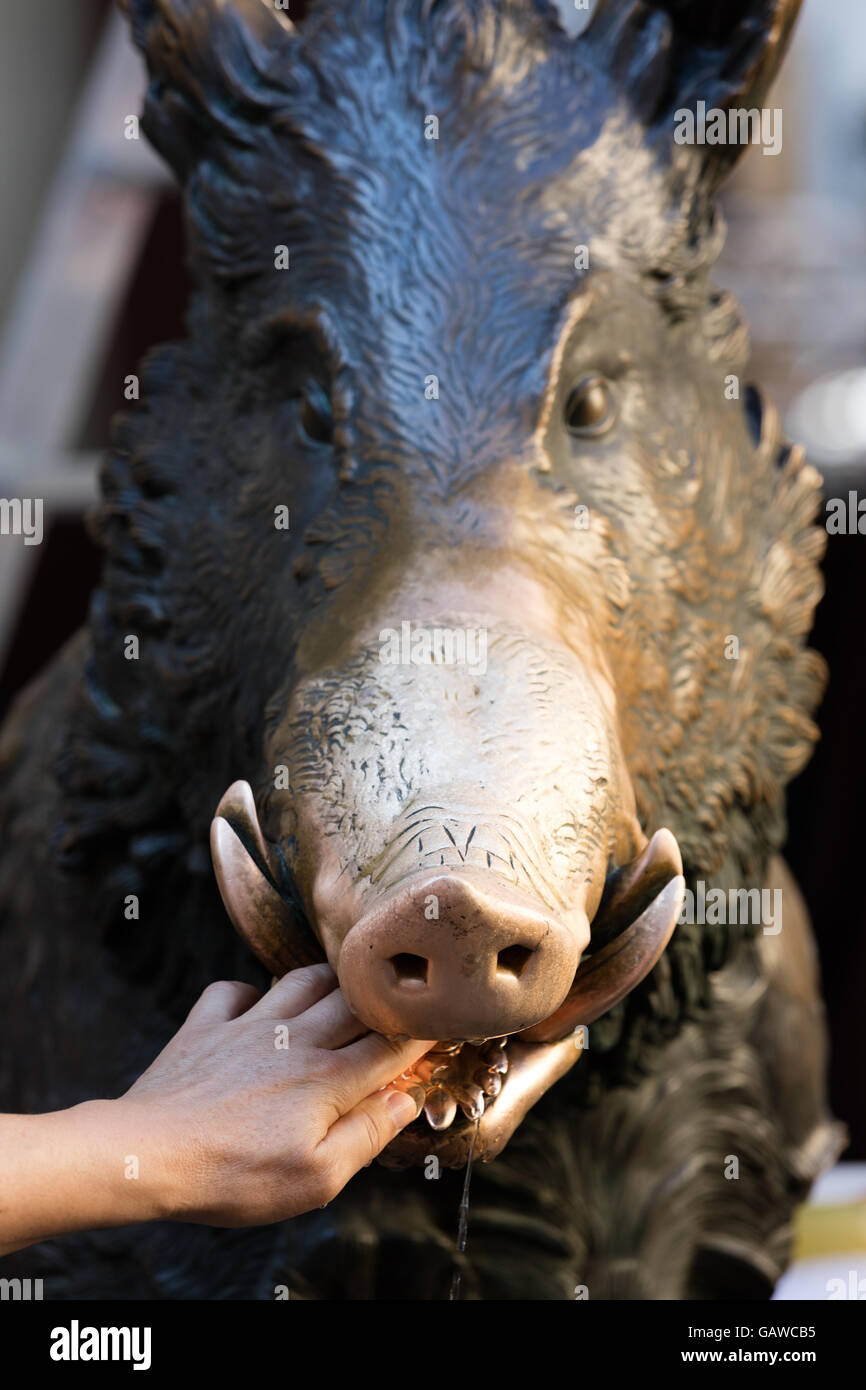 Fountain of pigs hi-res stock photography and images - Alamy