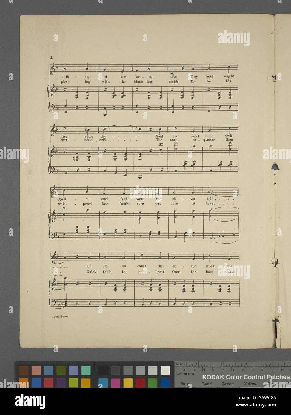 Apple seeds are a key element in the growth and reproduction of apple ...