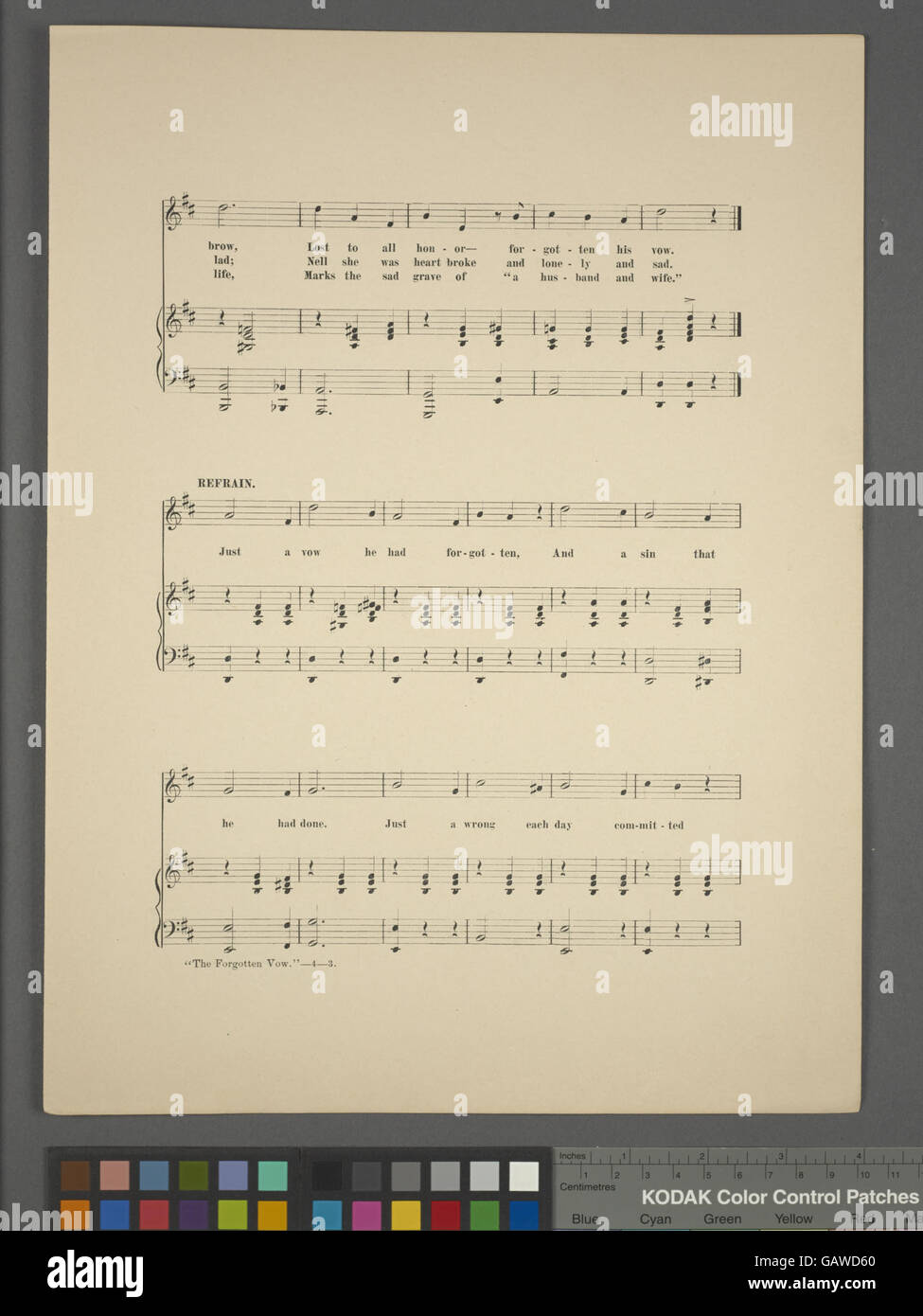 'The Forgotten You' may refer to a nostalgic or melancholic reflection ...