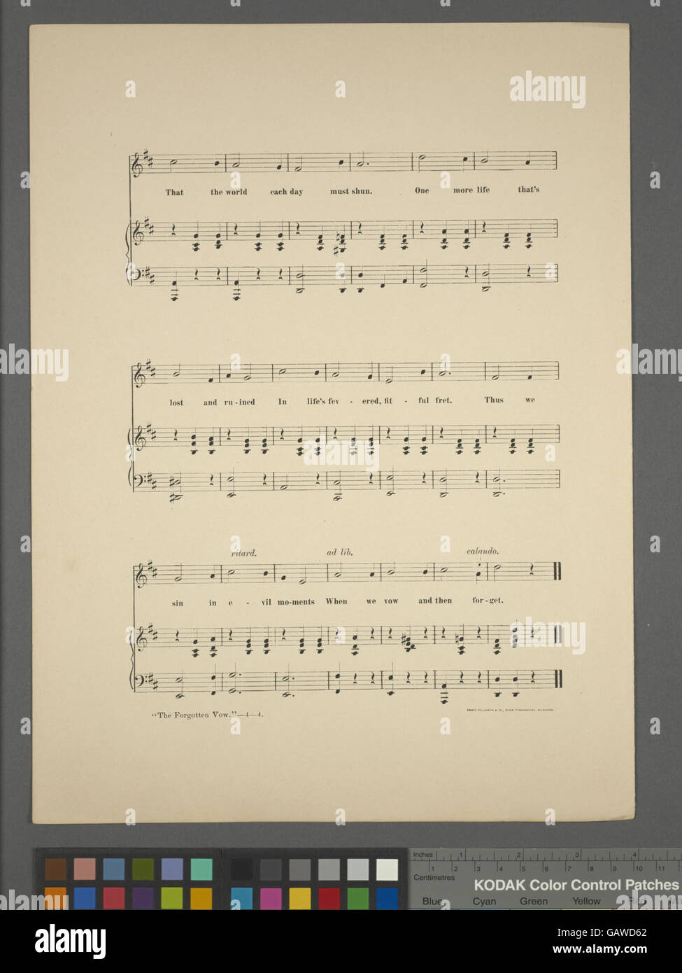 'The Forgotten You' reflects the theme of lost love or an absent figure ...