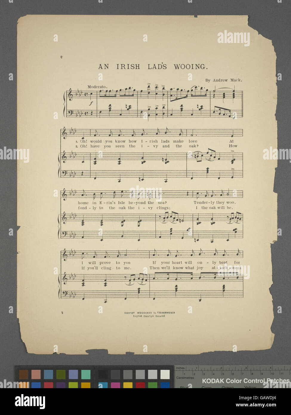 'An Irish Lad's Wooing' is a traditional Irish song, likely depicting ...