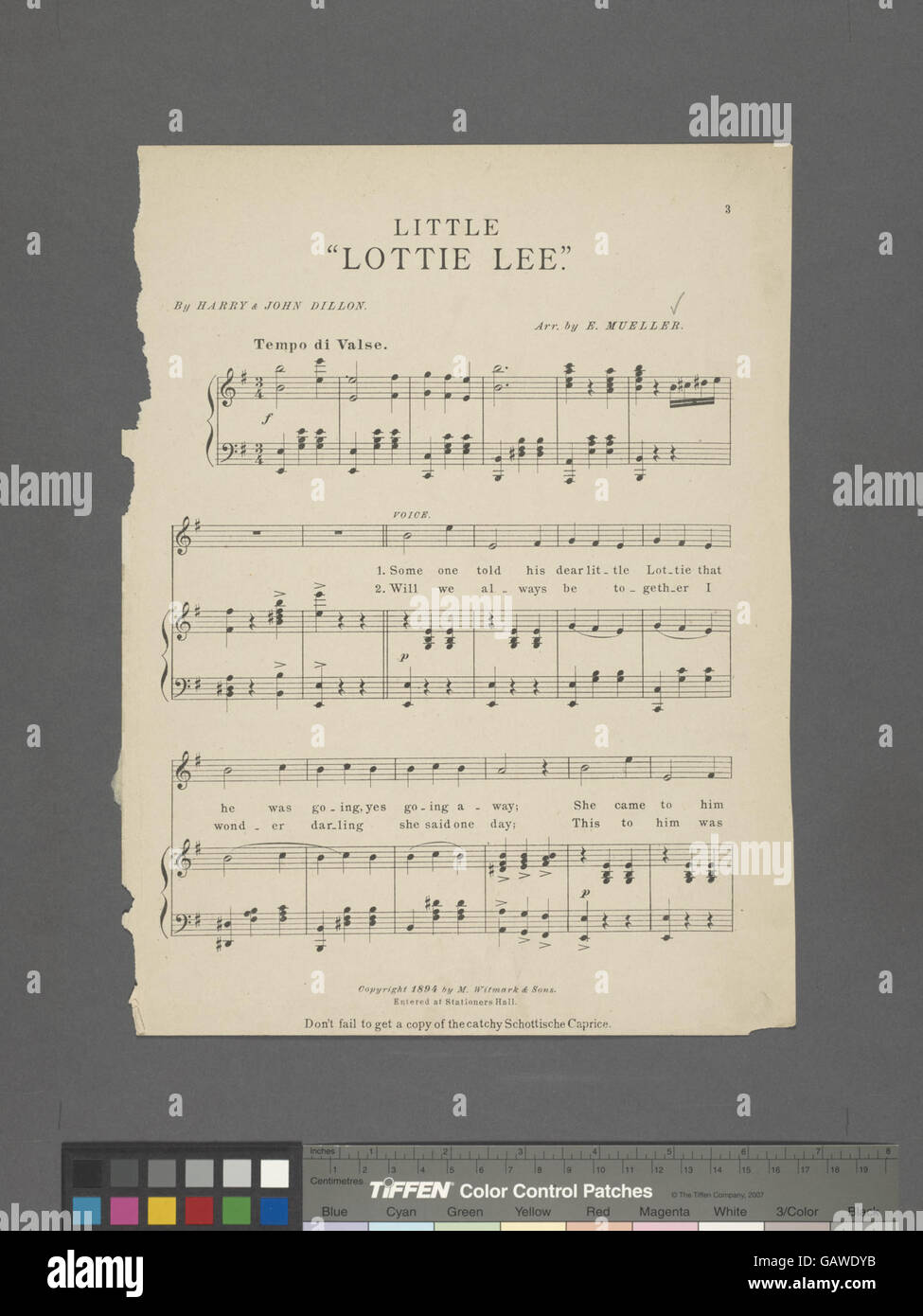 Little Lottie Lee ( Hades-454247-1703936 Stock Photo - Alamy