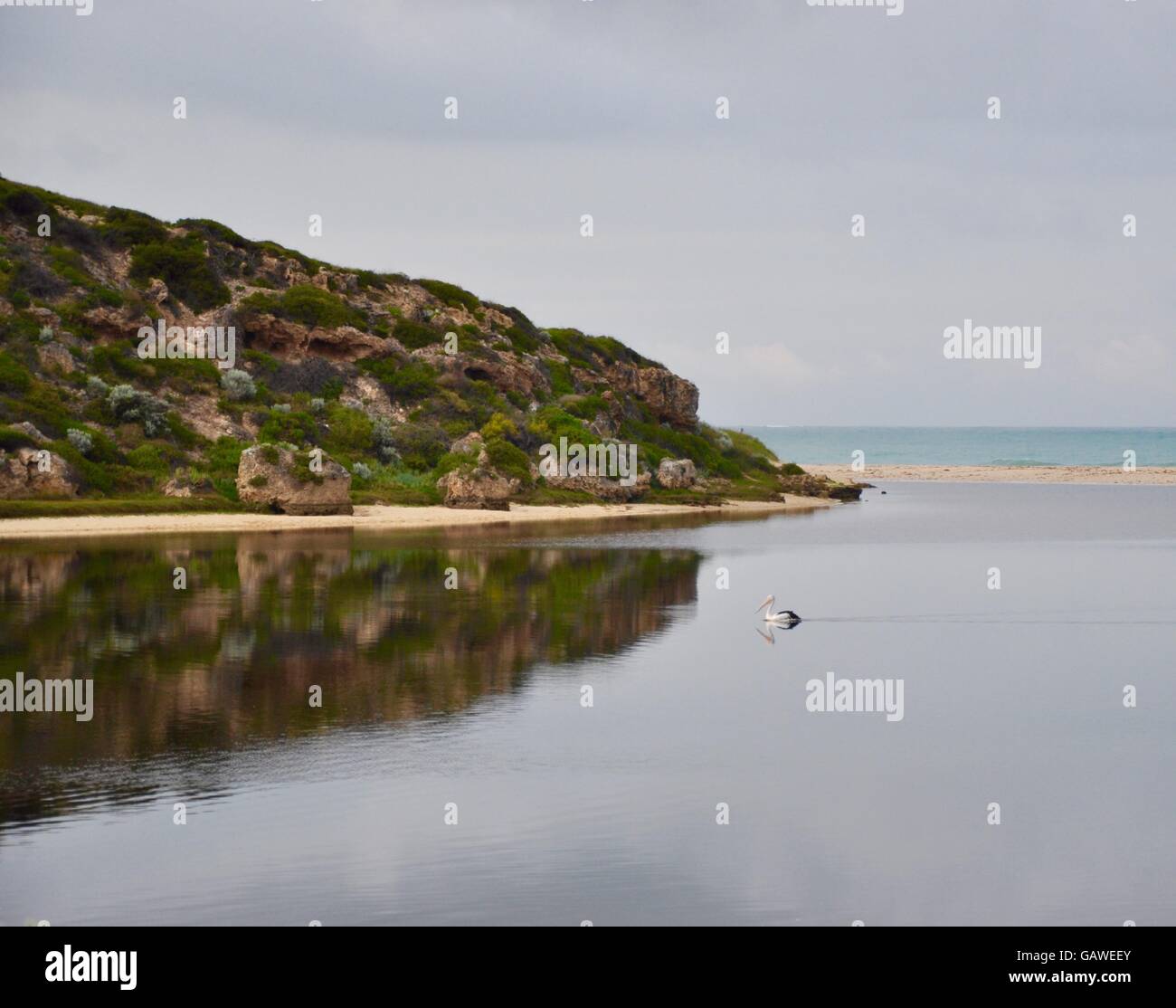 Pelican in the Moore River with river mouth sandbar to the Indian Ocean ...