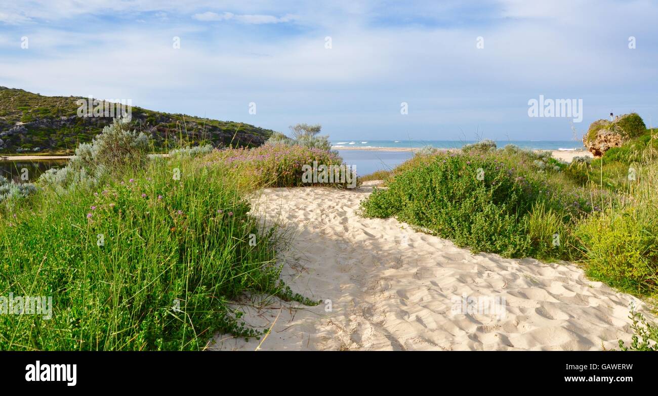 Sandy path through native flora by the Moore River with rivermouth ...