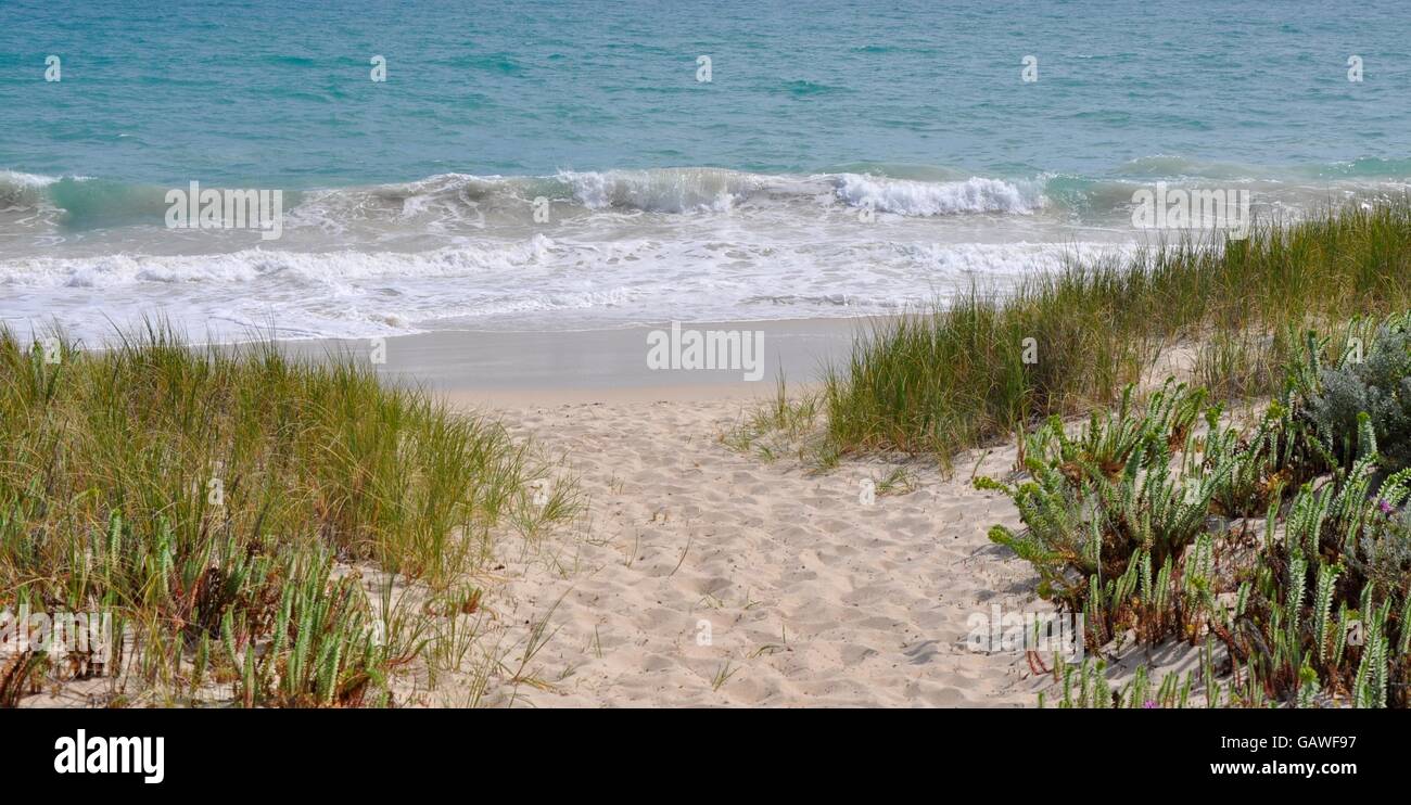 Turquoise sea dunes footpath hi-res stock photography and images - Alamy