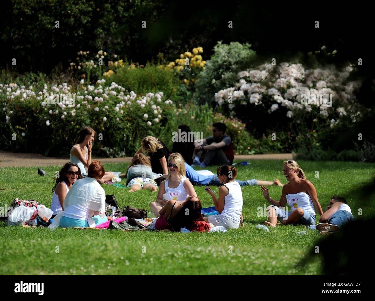 Female sunbathers enjoying the weather hi-res stock photography and ...
