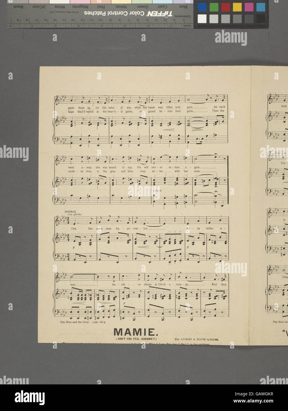 The blue and the gray, or, A mother's gift to her country ( Hades ...