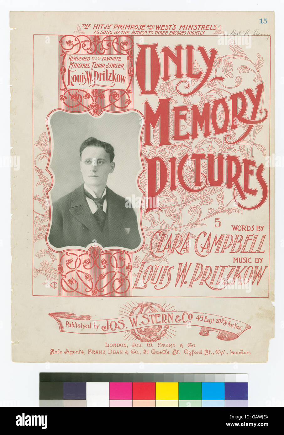 This title suggests a focus on a memory, captured as an image or ...