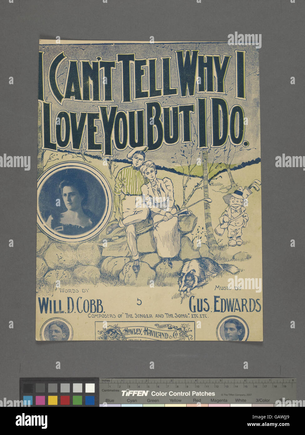 ‘I Can’t Tell Why I Love You, But I Do’ expresses an emotional ...