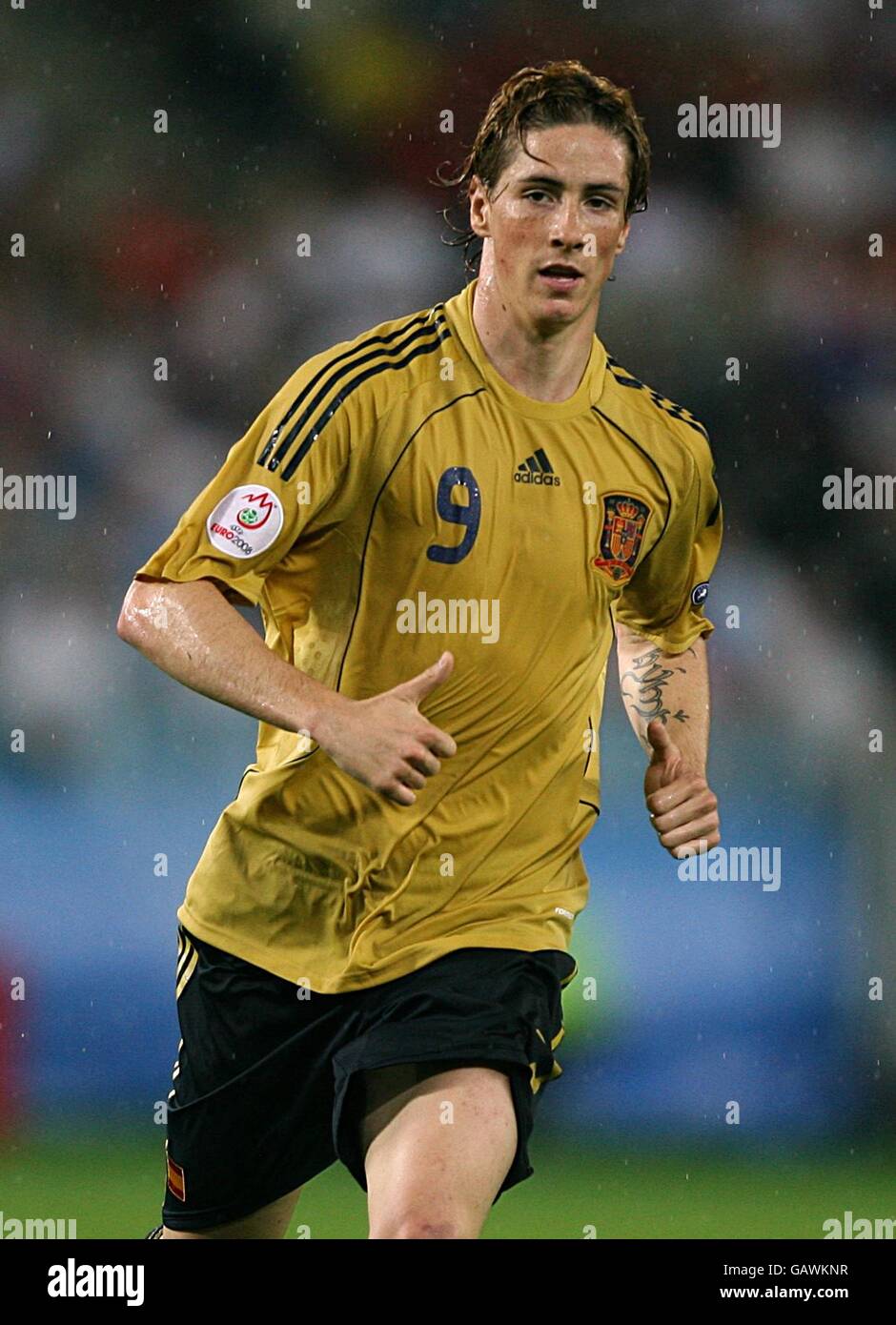 Fernando torres spain 2008 hi-res stock photography and images - Alamy