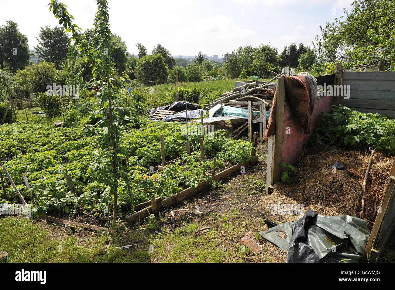 Allotments bristol hi-res stock photography and images - Alamy