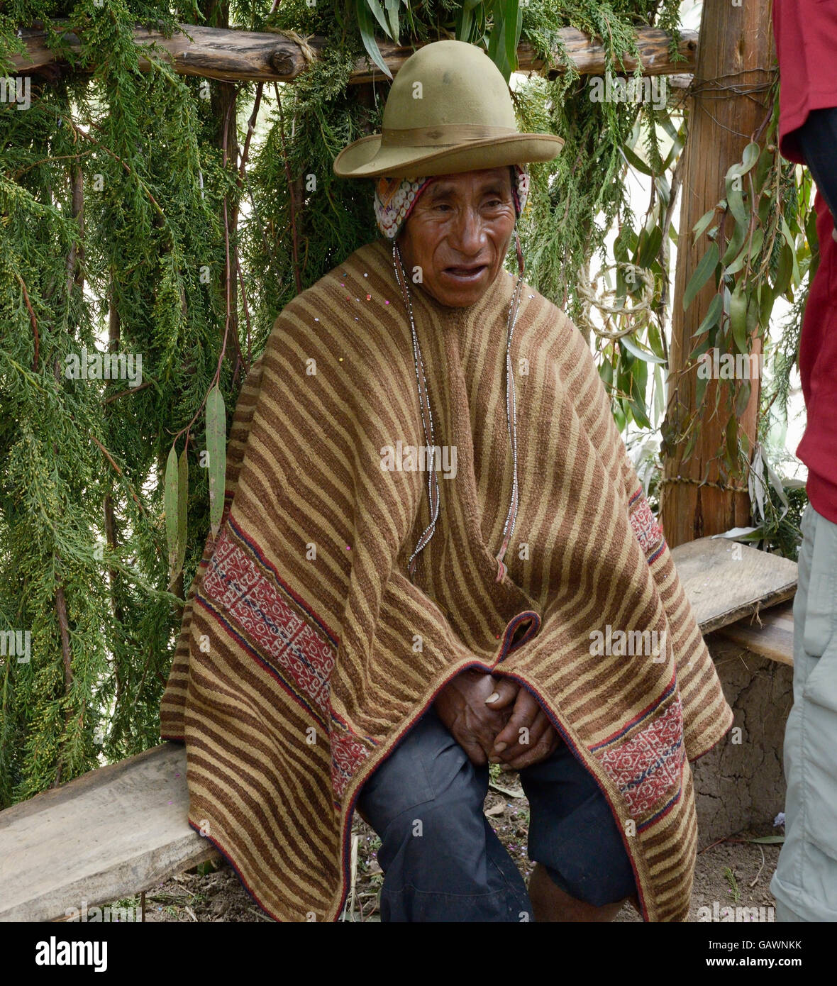 Portrait of a Native Peruvian man wearing typical andin robe and ...