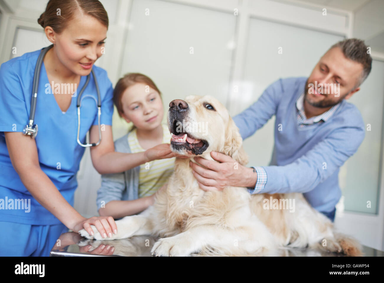 Dog visiting hospital hi-res stock photography and images - Alamy