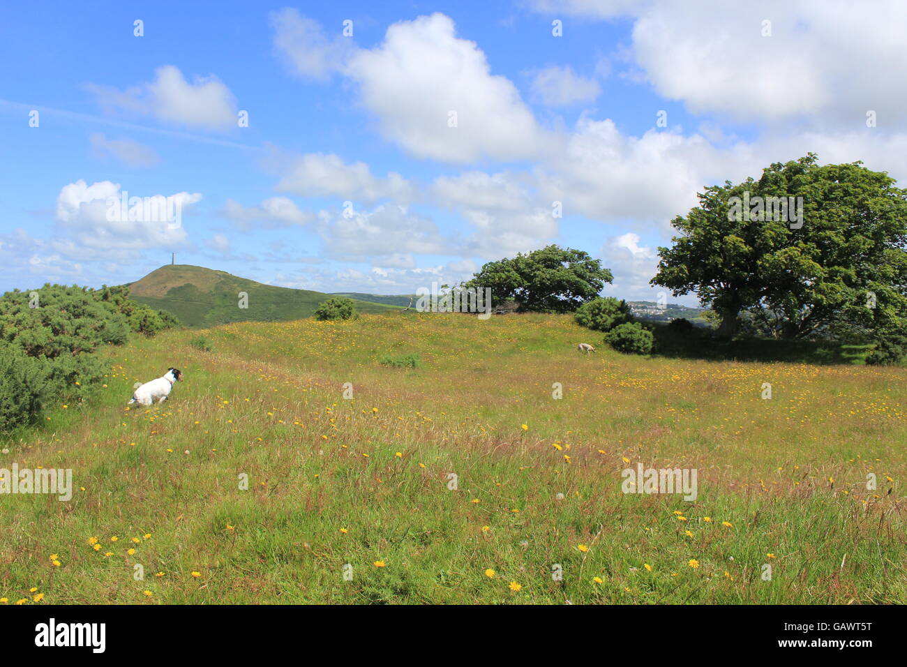 Richard fitz gilbert hi-res stock photography and images - Alamy