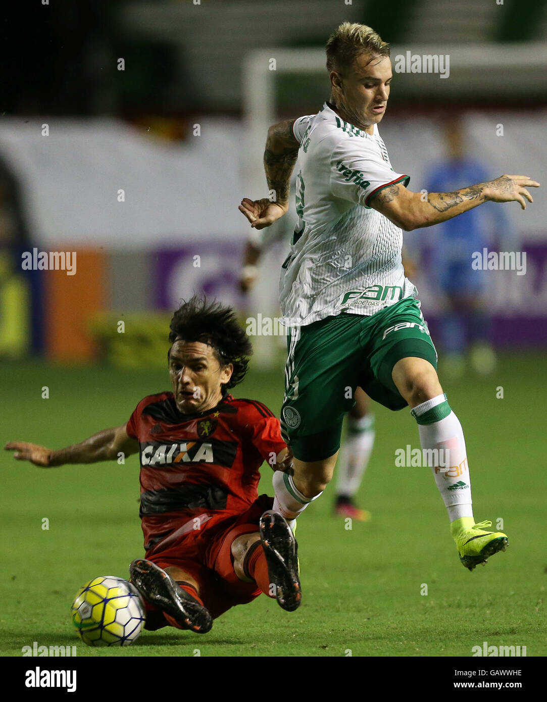 The player R?ger Guedes, from SE Palmeiras, ball dispute with Ferraz ...