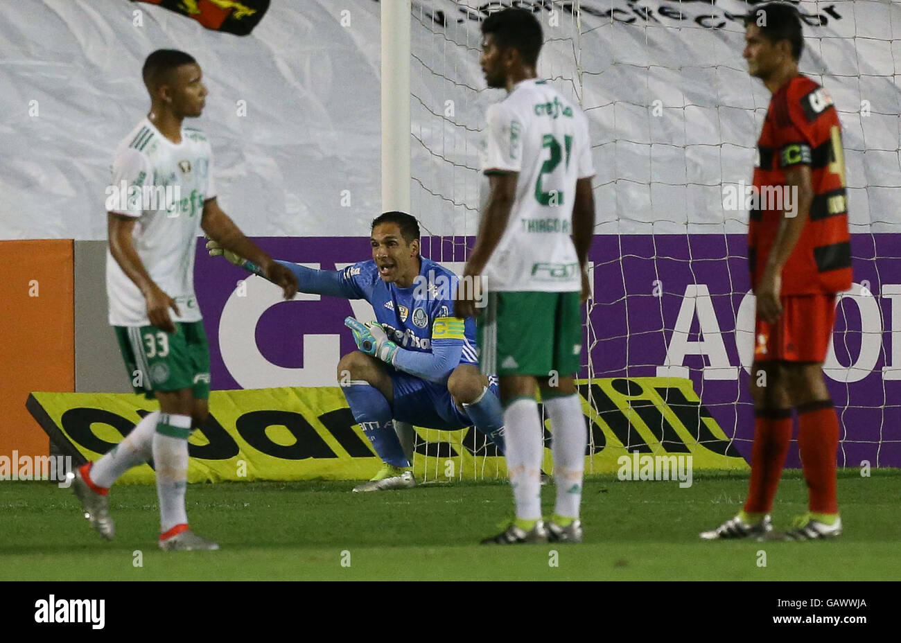 The goalkeeper Fernando Prass, the SE Palmeiras in match against Sport ...