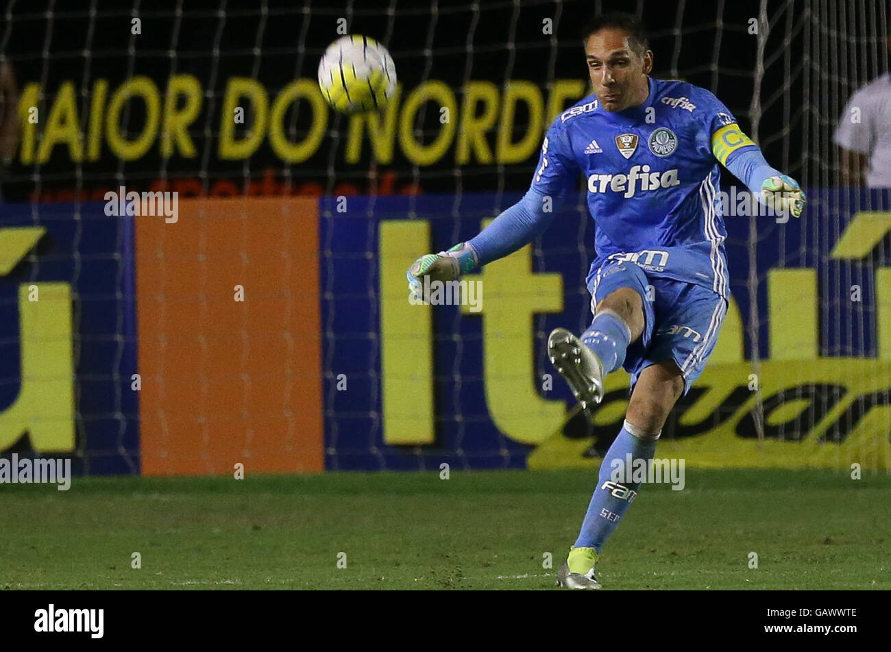 The goalkeeper Fernando Prass, the SE Palmeiras in match against Sport ...
