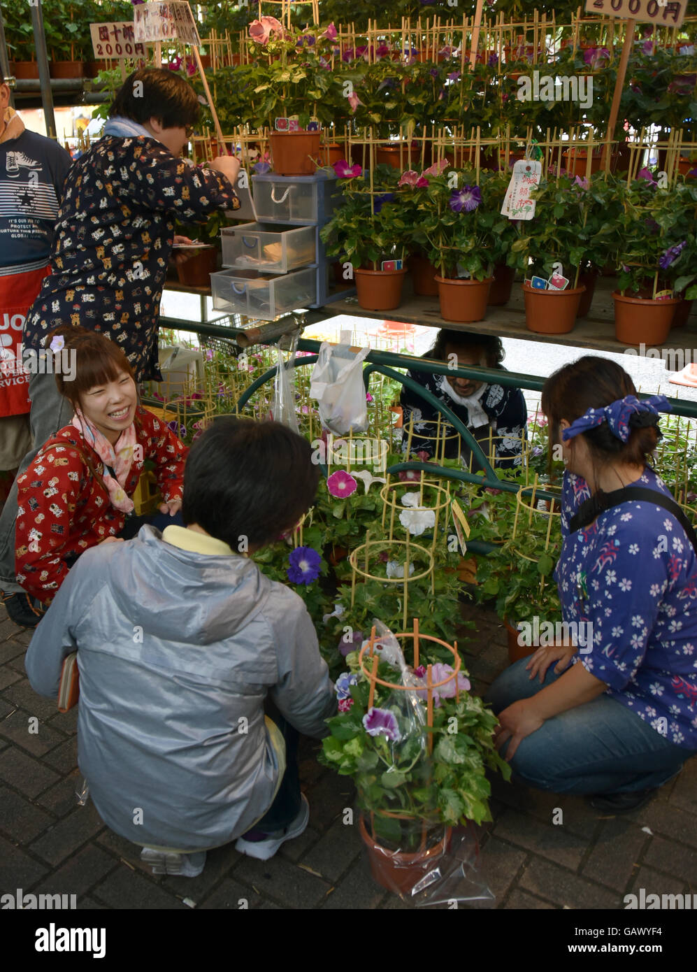 Tokyo, Japan. 6th July, 2016. Early risers flock stalls selling potted ...