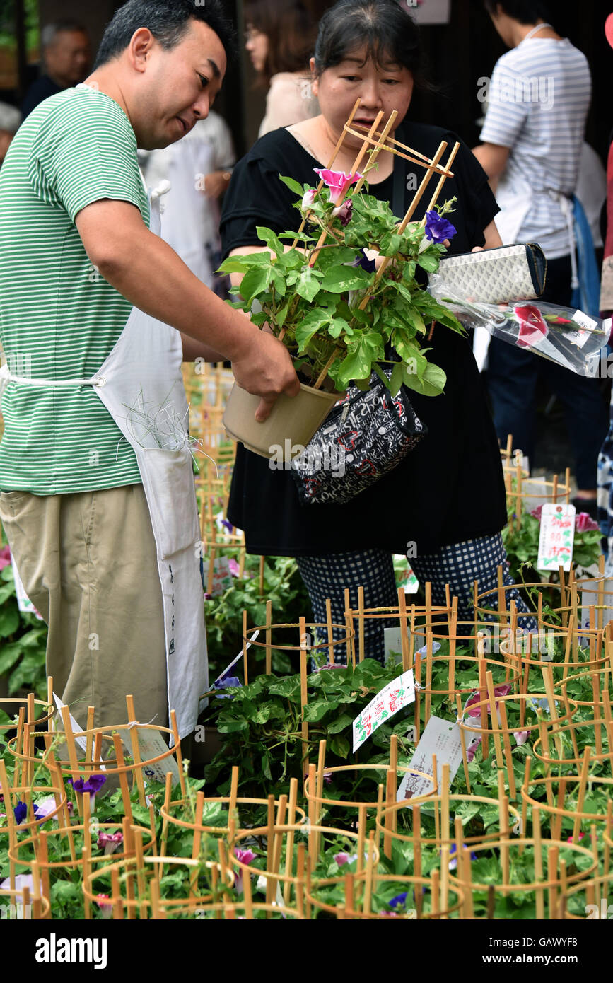 Tokyo, Japan. 6th July, 2016. Early risers flock stalls selling potted ...
