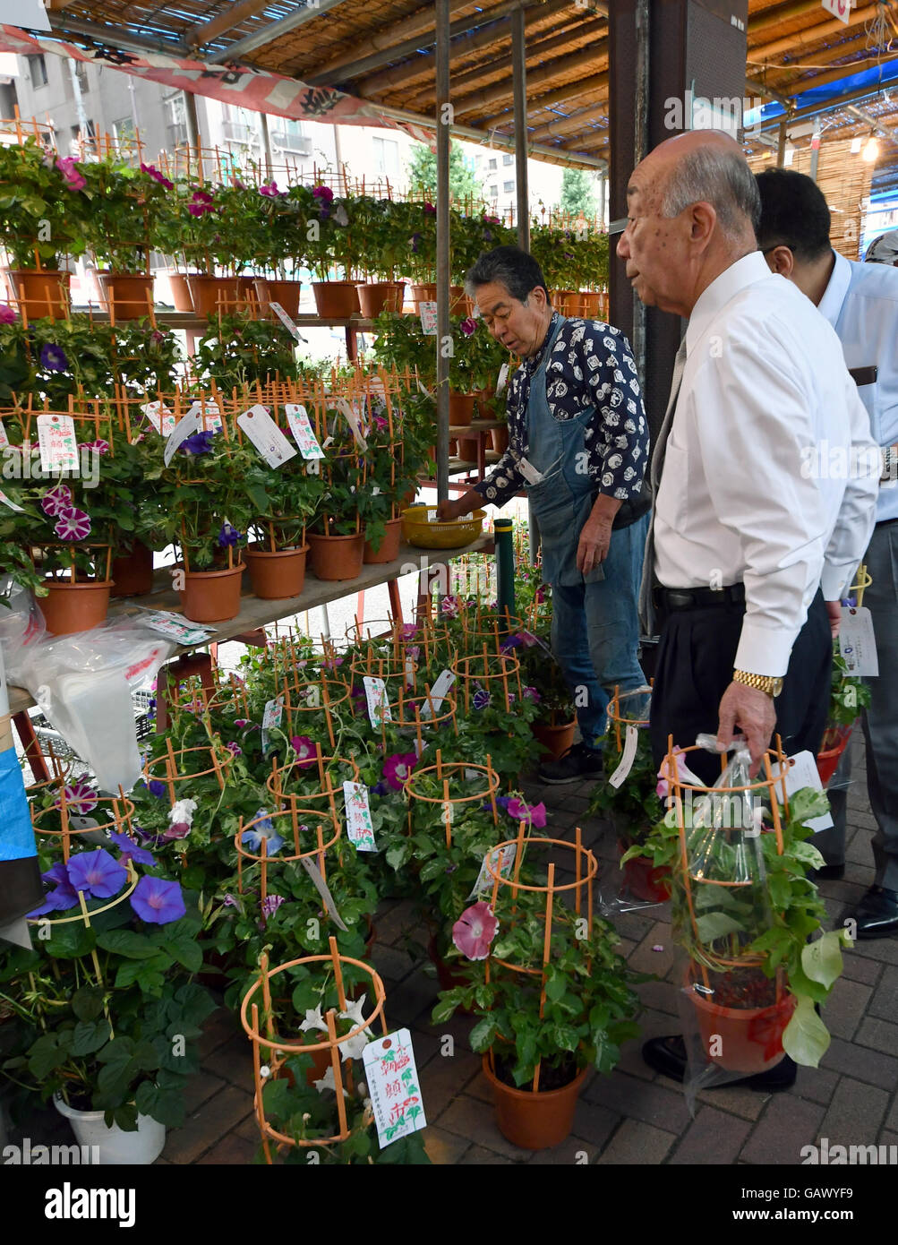 Tokyo, Japan. 6th July, 2016. Early risers flock stalls selling potted ...