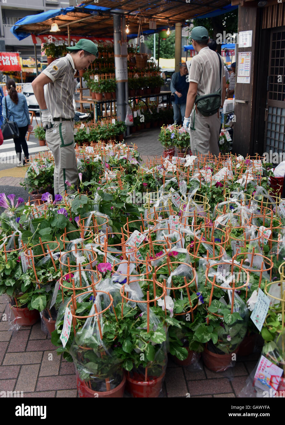 Tokyo, Japan. 6th July, 2016. Early risers flock stalls selling potted ...