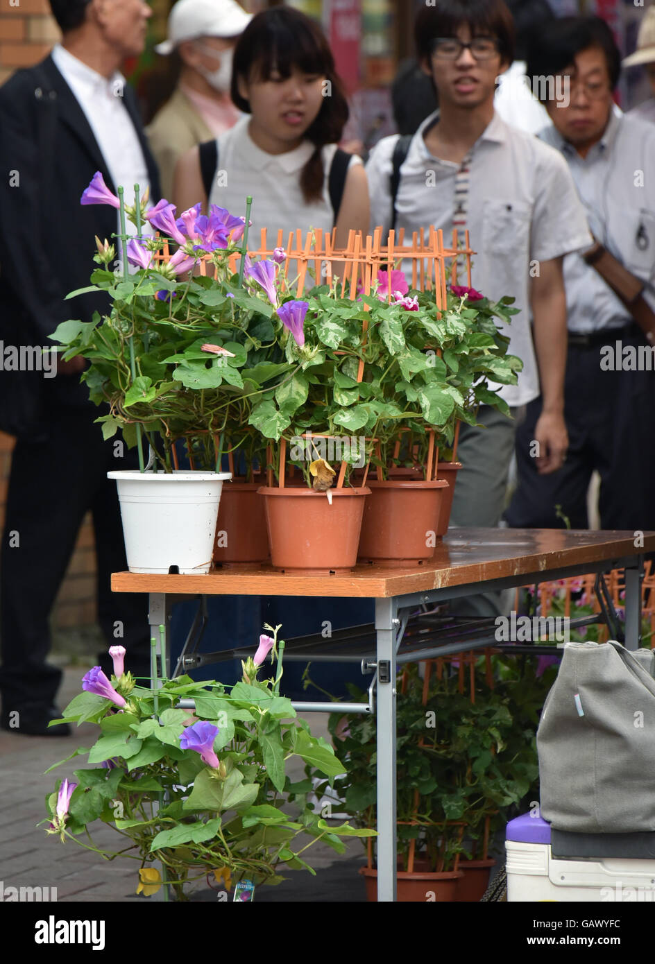 Tokyo, Japan. 6th July, 2016. Early risers flock stalls selling potted ...