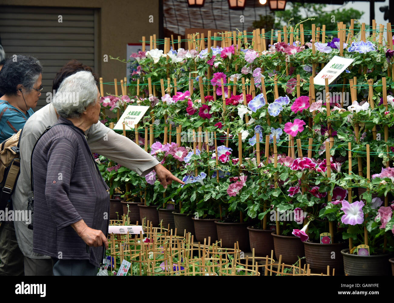 Tokyo, Japan. 6th July, 2016. Early risers flock stalls selling potted ...