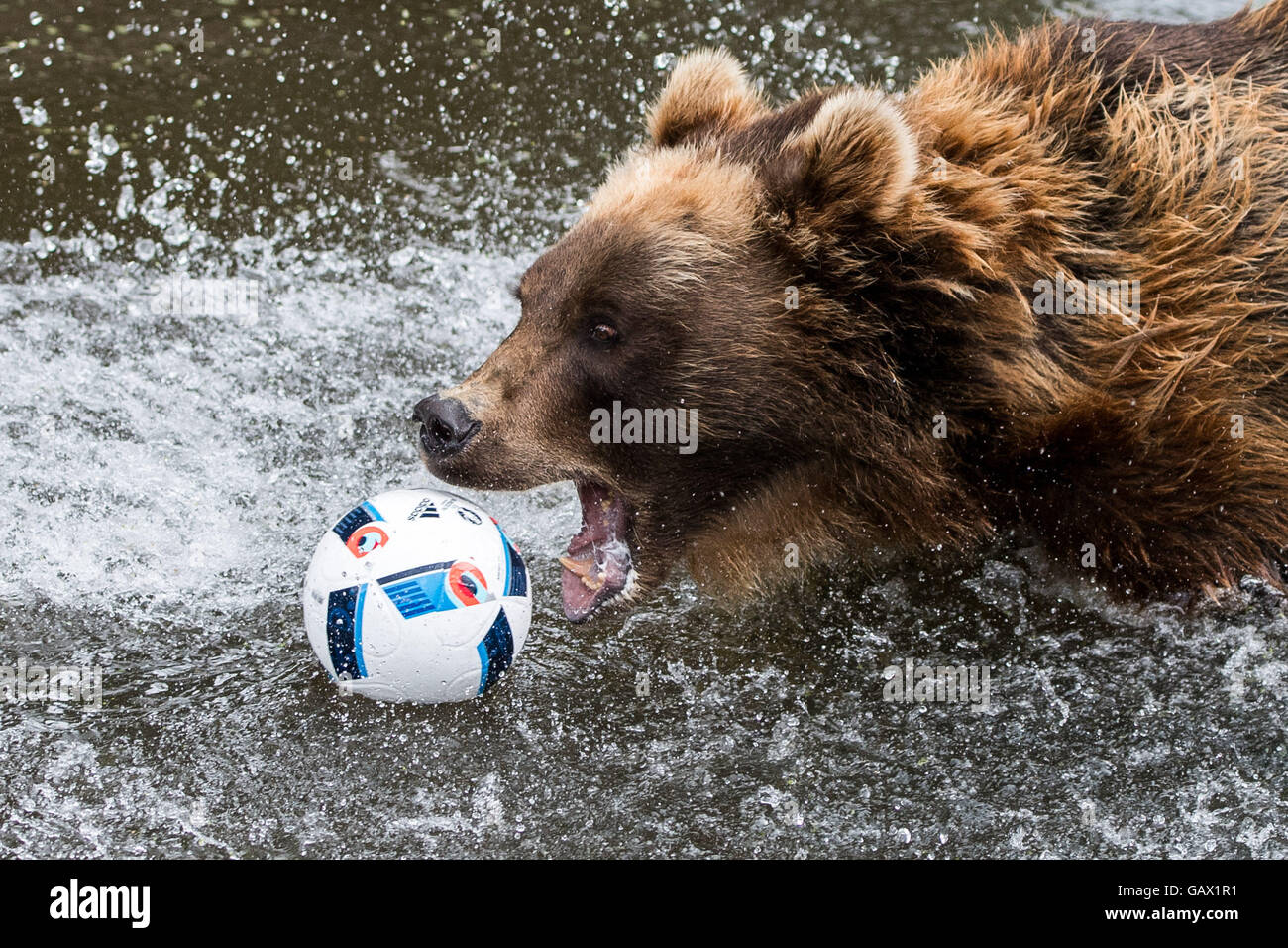 Masha and bear hi-res stock photography and images - Alamy