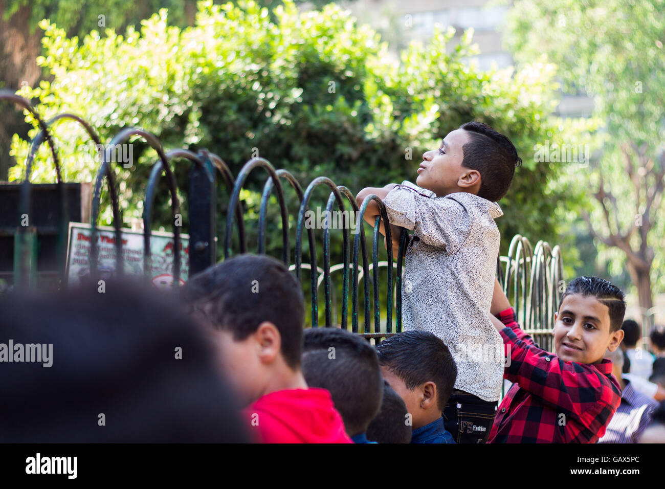 Cairo egypt zoo hi-res stock photography and images - Alamy