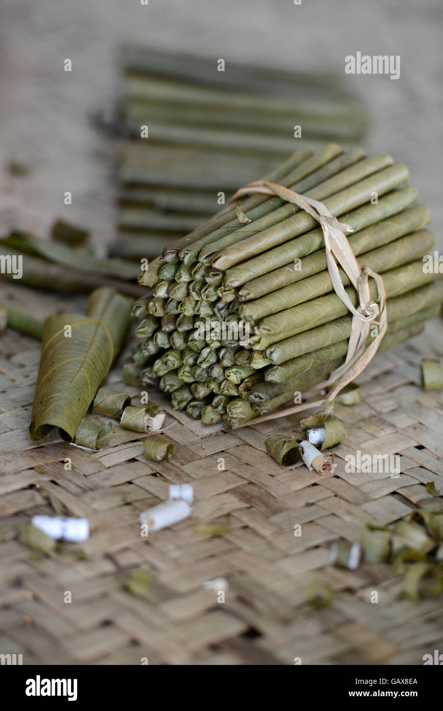 a Tabacco and cigar and cheroot Factory near the Village of Phaung Daw ...