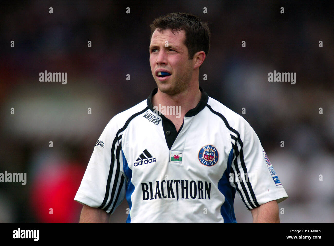 Bristol shoguns v bath hi-res stock photography and images - Alamy