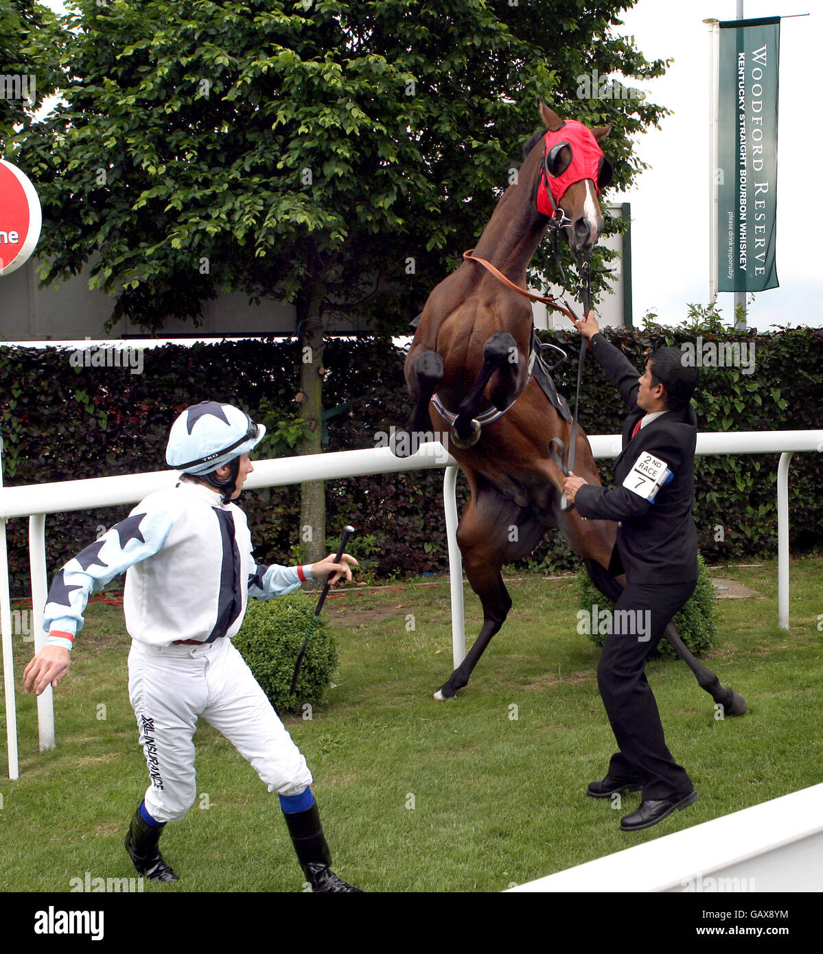 Rearing Horse With Jockey High Resolution Stock Photography and Images ...