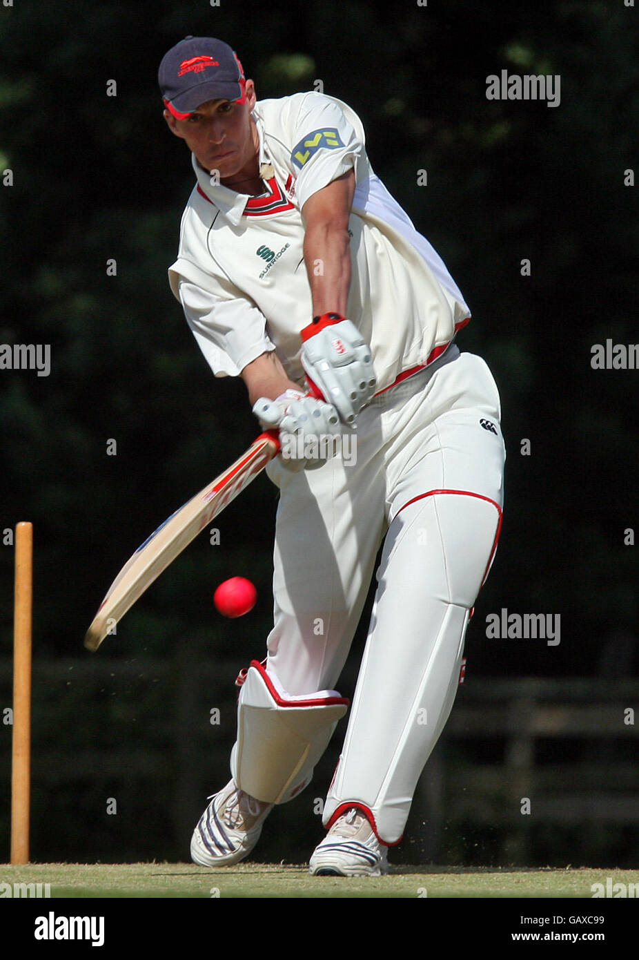 Cricket charity event belvoir cricket club hi-res stock photography and ...