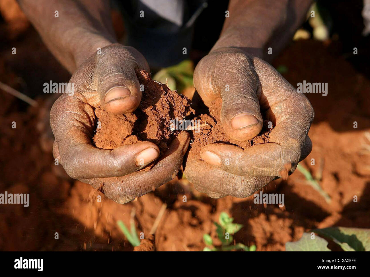 Food shortage leaves thousands staring into the abyss Stock Photo - Alamy