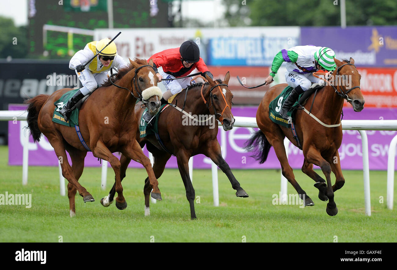 Halla horse hi-res stock photography and images - Alamy