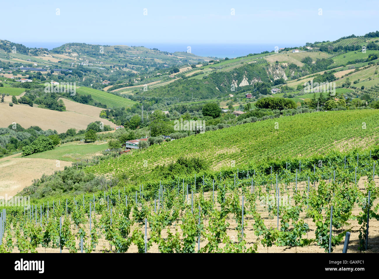Rural landscape on Marche, Italy Stock Photo - Alamy